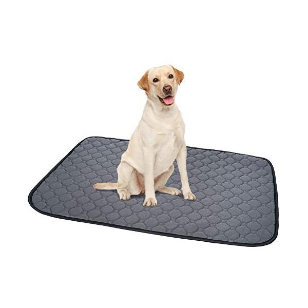 ■システム反映の都合上、ご購入後でも品切れになっている場合があります。その場合、ご登録のメールアドレスに通知致します。必ずご確認をお願いします。■サイズ・カラー等の記載が無い場合や複数記載がある場合があります。ご不明点は、ご購入前にご質問く...