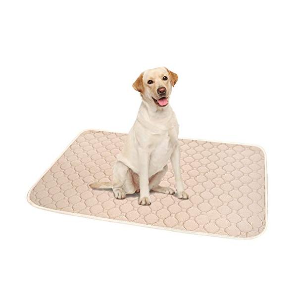 ■システム反映の都合上、ご購入後でも品切れになっている場合があります。その場合、ご登録のメールアドレスに通知致します。必ずご確認をお願いします。■サイズ・カラー等の記載が無い場合や複数記載がある場合があります。ご不明点は、ご購入前にご質問く...