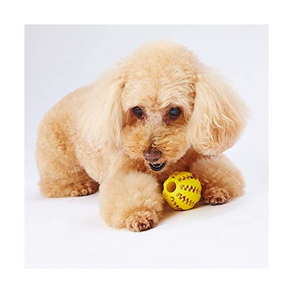 【商品概要】噛んでストレス解消デンタル効果ラバー素材歯ぐきのマッサージ【商品説明】説明商品紹介噛み心地バツグンのラバー素材で、ブラッシング&amp;マッサージ♪おやつを挟むフードポケット付!使用方法噛み心地バツグンのラバー素材で、ブラッシン...