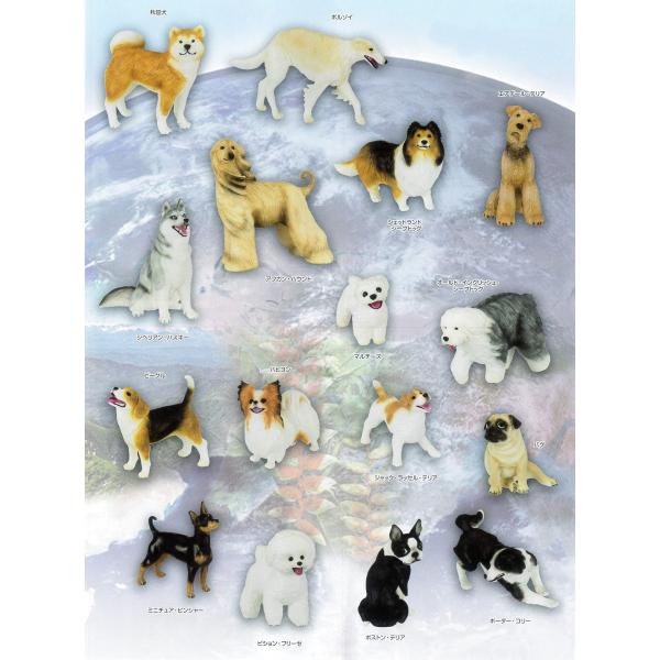 ■システム反映の都合上、ご購入後でも品切れになっている場合があります。その場合、ご登録のメールアドレスに通知致します。必ずご確認をお願いします。■サイズ・カラー等の記載が無い場合や複数記載がある場合があります。ご不明点は、ご購入前にご質問く...