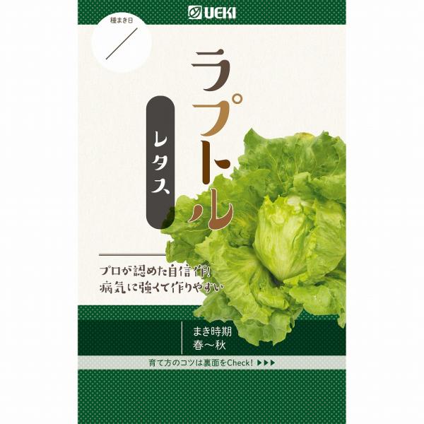"　【特徴】　●サリナス系×エンパイヤー系の極早生品種。　●球は大玉で、やや扁平。外葉は中〜やや大きめで、外葉形成と結球肥大が同時進行するタイプ。　●形状安定性が非常に高く、特にタケノコ玉、らせん結球(スパイラル)、タコ足などの結球異常が非...