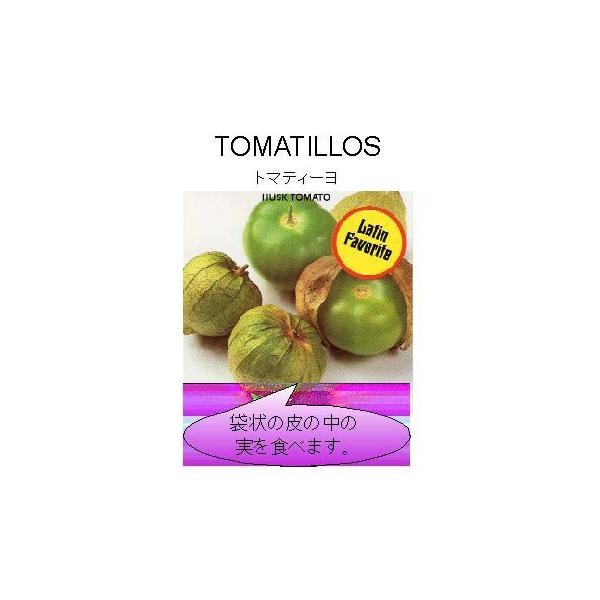 メキシコの調理用ハスクトマト（食用ホオズキトマト） サルサソースに【種まき】3〜5月