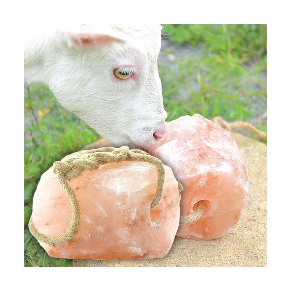 【送料無料】草食動物の塩分補給に。塩分が不足すると、倦怠感や食欲不振・血液濃縮などの症状が現れ、一般的には土や岩、汗や尿をなめて補おうとしています。アニマルソルトがあれば、好きな時に摂取できます。縄付きなので、吊り下げることも可能です。10...