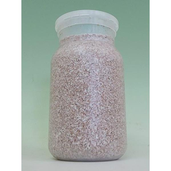 【商品名】　月夜野きのこ園 菌糸ビン E-1100 クワガタ幼虫用 【商品説明】　・オガ粉：生クヌギ50％、生コナラ50％・クワガタ幼虫用菌糸ビン！発送する段階で十分に菌がまわっており、安心して使用可能な商品をお送りいたします。・容量：11...