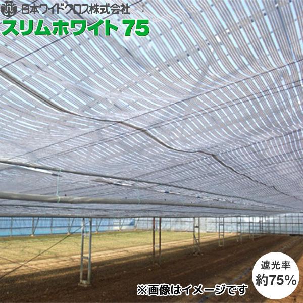 【重要】こちらの商品は送料条件がございます。ご注文の際は、必ず商品説明をよくご確認いただいたうえで手続きくださいますようお願いいたします。