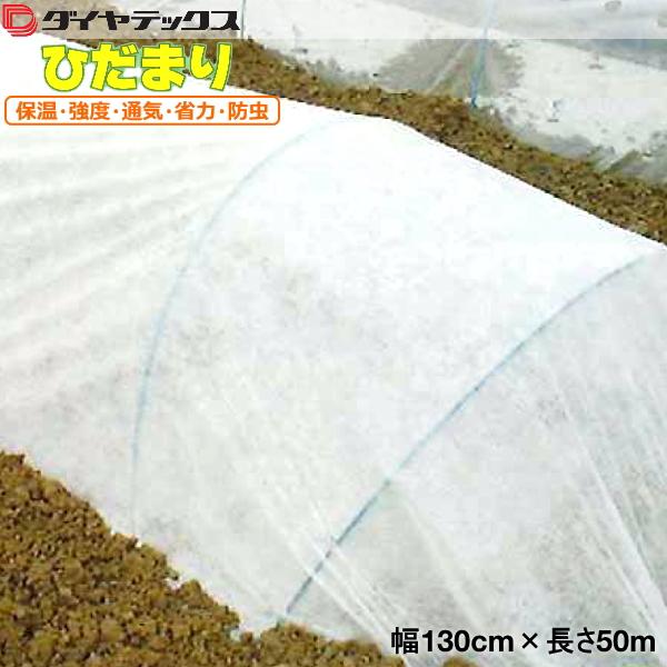 期間限定特別価格！！