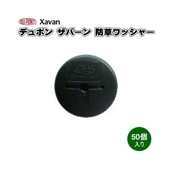 【重要(必ずお読みください)】商品名に「ザバーン」が付いていない商品は、必ず別にご注文手続きください。一緒にご注文された場合、ご注文処理ができなくなってしまいますのでご注意ください。