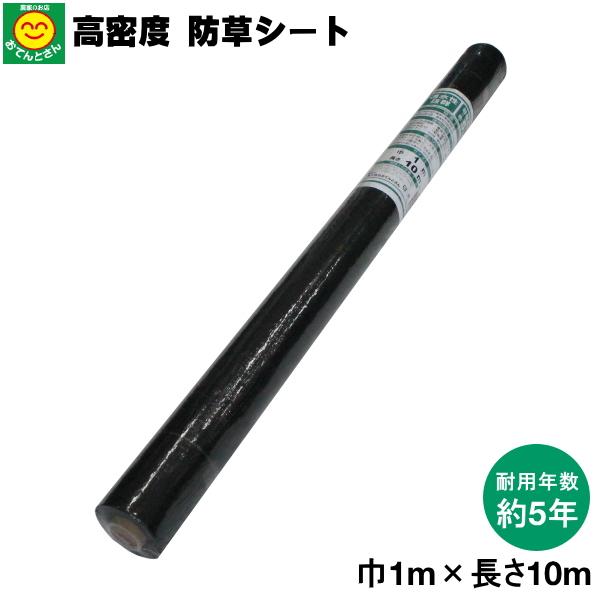 【耐用年数 約5年】