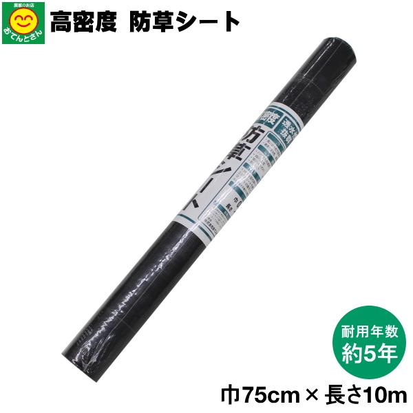 【耐用年数 約5年】