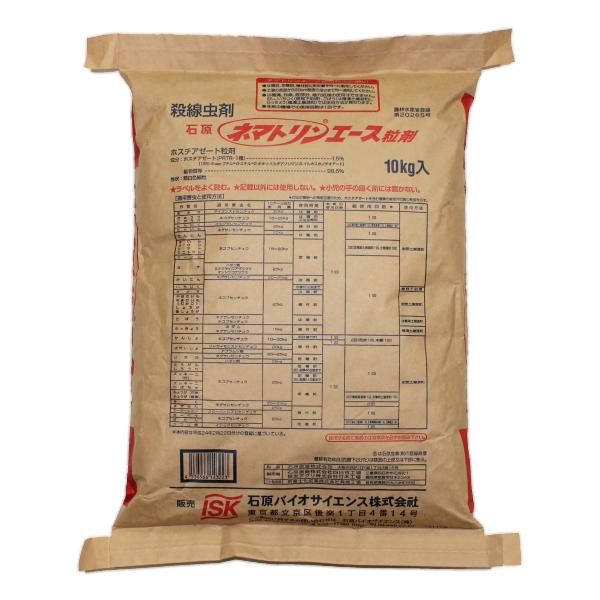 【 離島・沖縄発送不可 】