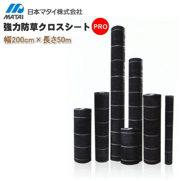 【耐候年数10年】