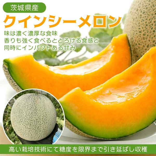【発売日：2026年05月10日】赤肉メロンの代表格「クインシーメロン」。その中でも、2025年ゴールドマイスター賞を受賞した品質のみを厳選し、内山農園より農家直送でお届けします。鮮やかなオレンジ色の果肉、スプーンがすっと入るなめらかさ。ひ...