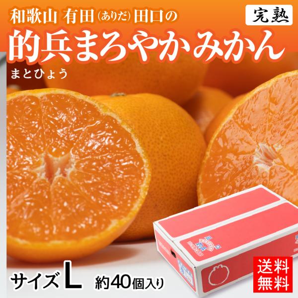 【発売日：2025年12月10日】田口完熟CLUB の”こだわりのみかんを京都の市場からお届けします。【京都市場限定品】人気と高い品質を誇る自信の印ひときわ目を引く情熱の赤い箱、これが高い人気を誇る、的兵みかんです。ーーーーーーーーーーーー...