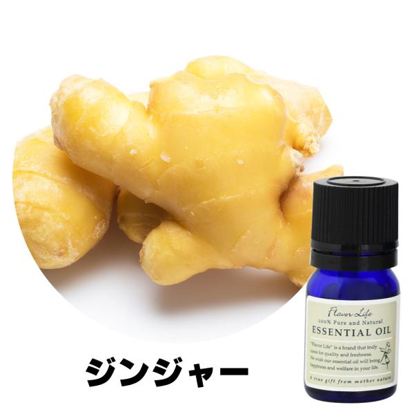 『ジンジャー』強い香りが特徴のジンジャー精油は、お料理で使う「しょうが」より、はっきりとしたスパイシーな香りを放ちます。気分をすっきりさせたいとき、気分転換に役立ちます。※刺激が強い精油ですので、使用量に注意して少量からお試しください。香り...