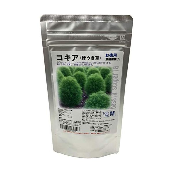 ・  212014・コキア・スコパリア(Bassia (Kochia) scoparia)の種子が100ml入っています。・種子の保存に最適な、チャック付アルミ袋。(種子が余ったら、冷蔵庫で翌年まで保管できます)・種子粒数目安:40 000...