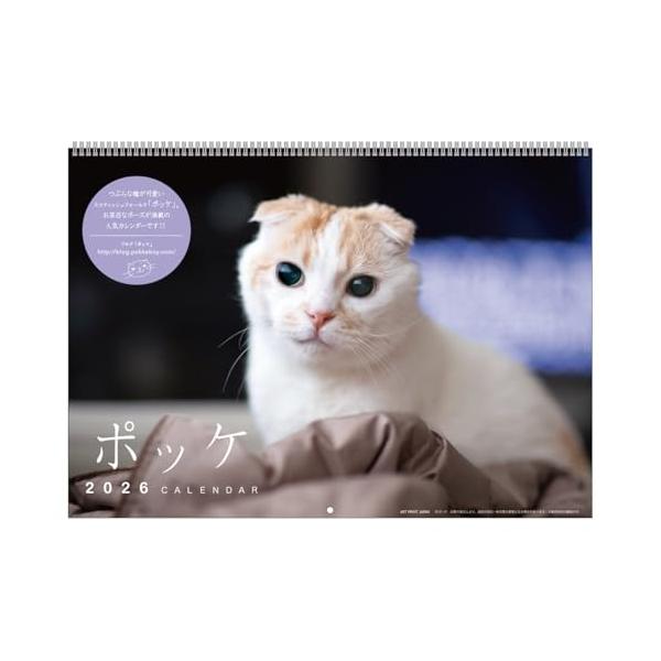 マルチカラー/-/1000136886・パッケージ個数:1・ブログで人気の「ポッケ」のカレンダーが今年も登場。つぶらな瞳とお茶目なポーズが満載・サイズ：257×364ｍｍ・12枚つづり・リング仕様