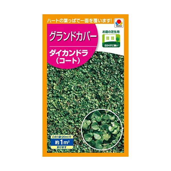 ・  BLG609EBF・種子:1袋(20ML)日影に強く、ハート型の葉!