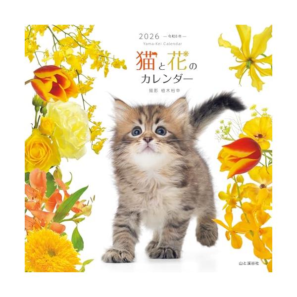 インテリアにぴったり！ 猫と色とりどりの花のコラボが楽しめるカレンダー。  20年以上続く超ロングセラー！ 季節の花と子猫たちのかわいい姿が一緒に楽しめます。  華やかで、爽やかで、癒される。 お花と子猫のコラボレーションカレンダー。 お部...