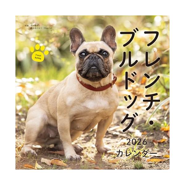 -------------------------------------------------  フレンチ・ブルドッグの月めくり大判カレンダー。 撮影はいきいきとした表情の動物写真に定評のある中村陽子氏。  【カレンダーの特徴】 ●壁掛...
