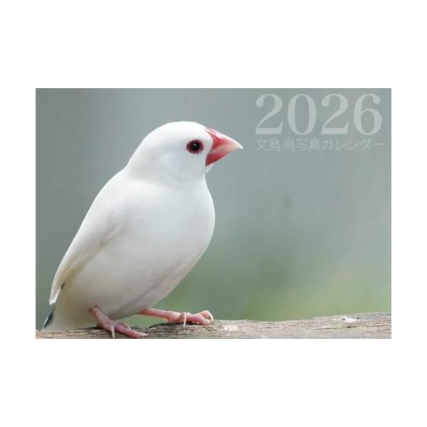 外撮りの元気で愛らしい文鳥の写真を中心に 季節ごと、一年間楽しく文鳥を楽しめるカレンダーに仕上げました 元気に飛び回る外撮り写真を是非お楽しみください。  撮影;相模原市麻溝公園  掲載写真サンプルを公開しております。ご覧いただければ幸いで...