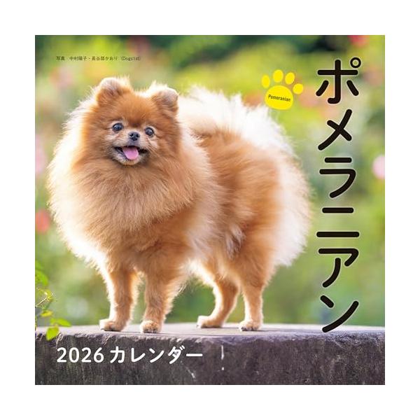 -------------------------------------------------  ポメラニアンの月めくり大判カレンダー。 撮影はいきいきとした表情の動物写真に定評のある中村陽子氏。  【カレンダーの特徴】 ●壁掛けタイプ...