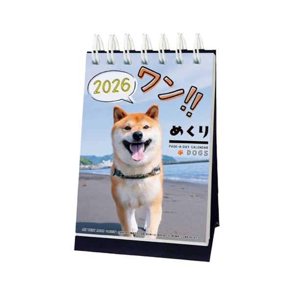 マルチカラー/-/1000136881・パッケージ個数:1・かわいい犬達がたくさん楽しめる日めくりカレンダーです。・サイズ：160×100ｍｍ・192枚つづり・リング仕様・両面印刷