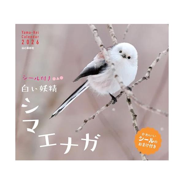 白くて、まるくて、かわいい！ シマエナガを12ヶ月楽しめるカレンダー2026年版。  ふわふわしたフォルムがぬいぐるみのように可愛らしい、シマエナガ。 多くの人がその姿に魅了されています。  大人気シマエナガの選りすぐりの写真を集めた、かわ...