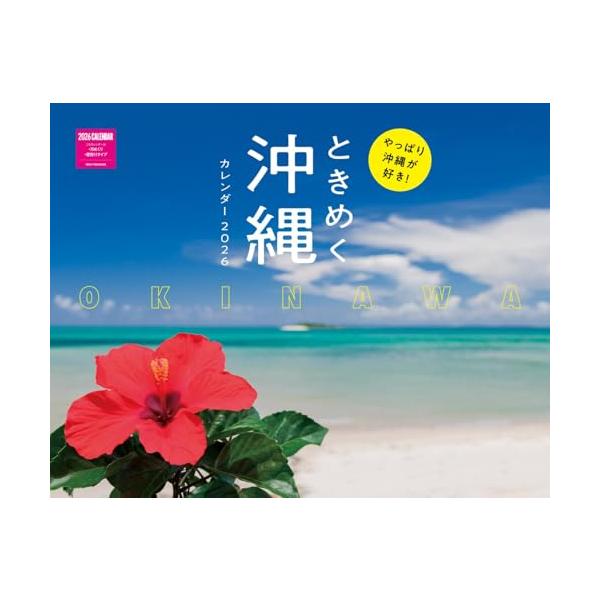青い海、白い雲、緑の草木、赤いシーサー。まるで沖縄を旅しているような心ときめく美しい絶景写真。