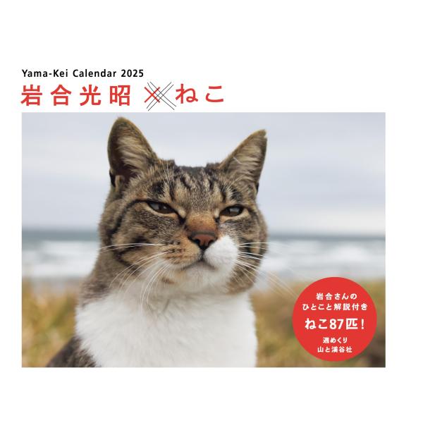 ネコを探して旅に出よう。 大人気の定番卓上カレンダー。  NHK-BS「世界ネコ歩き」で有名な人気動物写真家、岩合光昭さんのネコカレンダーです。 ネコ好きにはたまらない週めくり卓上カレンダー2025年版です。  毎週めくって、新しい猫に出会...