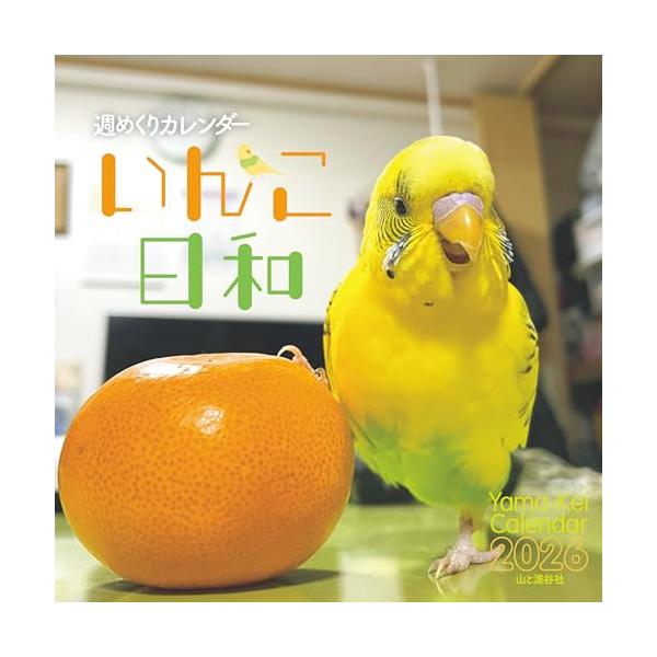 インコのいる日常を楽しんでみませんか？ いんこ愛好家、インコファンの方々に大好評、大人気カレンダー！  愛らしくも笑えるインコとのほっこりとした日常が詰まった、インコ満載のカレンダー2025年版です。  思わず笑ってしまうポーズや見ているだ...