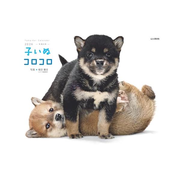 表情豊かで、かわいい子犬たちを毎月楽しめる、 いぬ好きにはたまらない壁掛けカレンダー2026年版。  書き込みスペースもたっぷりで使いやすいと大好評のロングセラーカレンダーです。  リビングや書斎で愛らしい子いぬたちの姿をお楽しみください。...