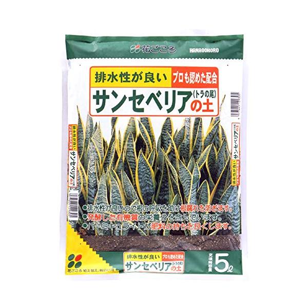 サンセベリアの土-/-/５Ｌ・パッケージ個数:1・容量：5L・製造：日本・適用：サンセペリア、多肉植物など・主原料：木質堆肥、バーライト、赤玉土、ピートモス・特長：排水性が良いので根の評吸を助け根腐れを防ぎ、バーミキュライトで保肥性を高めます。