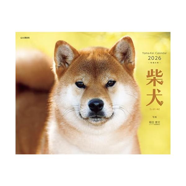 柴犬カレンダーの大定番！ 凛々しい＆かわいい柴犬がいっぱい！  柴犬カレンダー「大定番」の柴犬カレンダー2026年版。 大人気動物写真家・福田豊文による撮りおろし新作が続々登場！  大人の柴も子供の柴も最高に凛々しい＆可愛い！ 美しく大きな...
