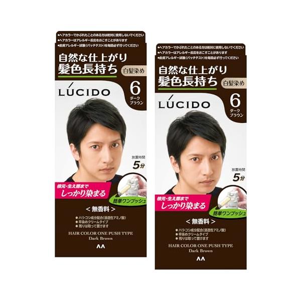 ダークブラウン/2個/-・Color:ダークブラウンSize:2個・パッケージ個数:1・原産国:日本・早染めクリームタイプ・簡単に塗布できるワンプッシュタイプ・髪に配慮したマイルドバランス処方・pHをおさえて、仕上がりの髪のパサつきやゴワつ...