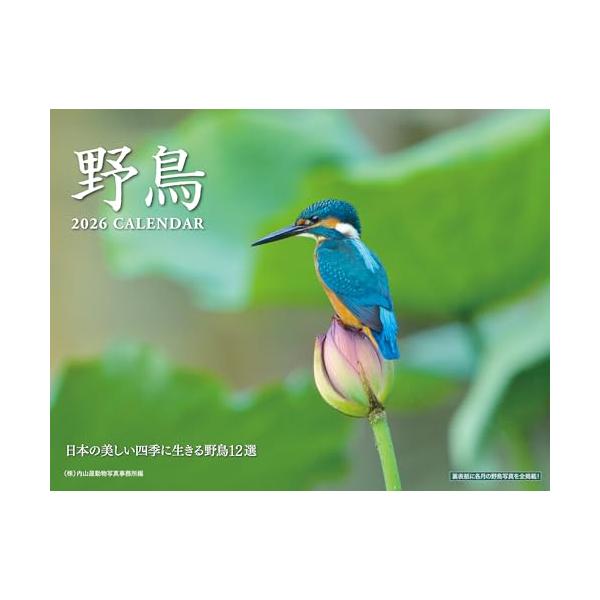 美しい日本の風景と野鳥が四季と共に楽しめる。 長年、野鳥好きの多くの人びとから愛されている壁掛カレンダー。 日付部分はゆったり予定が書き込める