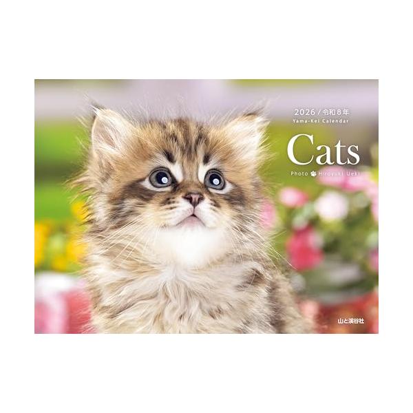 かわいい子ねこたちをいつでもそばに。 ロングセラーの「Cats 」カレンダー2026年版です。  かわいい子ねこが表情豊かに登場する定番のロングセラーカレンダー。  家庭で見せる猫の自然な姿が好評です。 ねこ好きにはたまりません。  便利な...