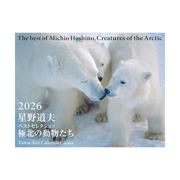 動物写真家・星野道夫の、あの一瞬を再現した傑作集。  星野道夫の代表作品を厳選したベストセレクション。 「目線」と「かわいさ」、そして「物語性」が感じられ、極北の動物たちが微笑みかけてきます。  極北の大地、アラスカで撮影されたホッキョクグ...