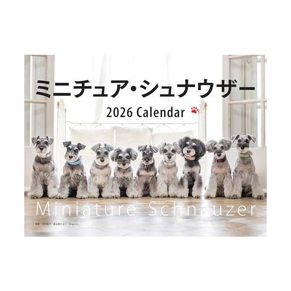 -------------------------------------------------  知的な瞳とエレガントな姿がたまらないミニチュア・シュナウザー、ワイド判が新登場です。 撮影は、犬の撮影で定評のある中村陽子氏。  【カレン...