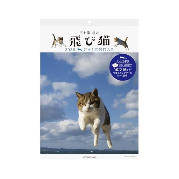 マルチカラー/-/1000136883・パッケージ個数:1・猫がジャンプする決定的瞬間をとらえた”飛び猫”たちのカレンダーです。・サイズ：370×260ｍｍ・13枚つづり・紙ヘッダー仕様