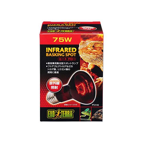 75W・無し  b-af-6ra-019141・Style:75W・本体サイズ(幅X奥行X高さ):6.5×6.5×10cm・カラーガラスを使用した、を照射するスポットランプです。 生体には見えにくい赤い光で、昼夜を問わず、活動サイクルを妨げ...