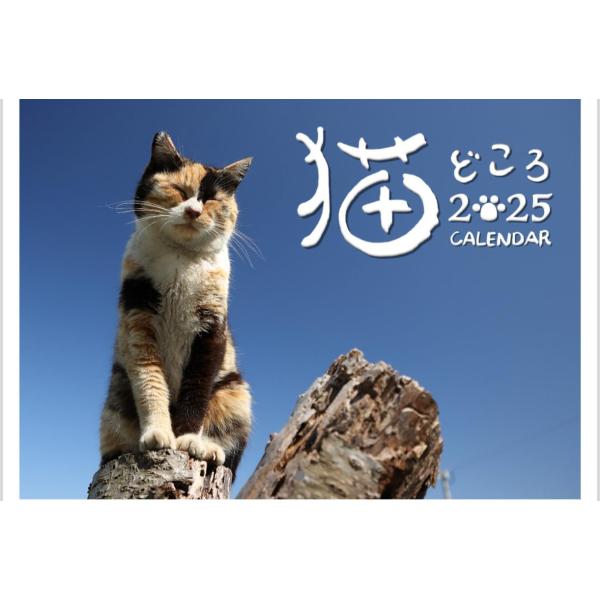 産経新聞のカメラマンが撮影した猫たちのカレンダーが、10年目を迎えます！今回も大人気の看板猫や離島のアイドル猫など四季折々の猫どころをご紹介します。