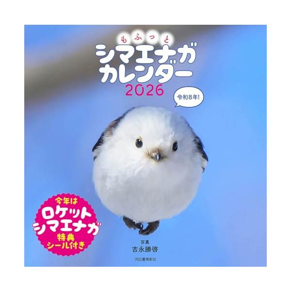 雪の妖精・シマエナガが一年間楽しめる、2026年カレンダー! 北海道在住のカメラマン吉永さんが、新たに撮り下ろしたシマエナガの「もふもふふわふわ」な姿をお楽しみください。 ・ ■大ヒット!シマエナガ写真集『もふもふふわふわシマエナガ』(河出...