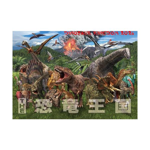 カラー/-/CL-477・パッケージ個数:1・【仕様】 51×36cm・28P