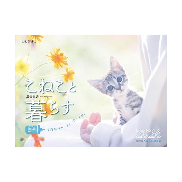 愛らしい保護猫たちと暮らしてみませんか。 保護猫写真家・三吉良典による癒やしの猫カレンダー2026年版です。  愛らしい保護猫写真がお家の壁を彩ります。 一年を通して、猫たちのやさしい世界に癒されてください。  本カレンダーの売上の一部は動...