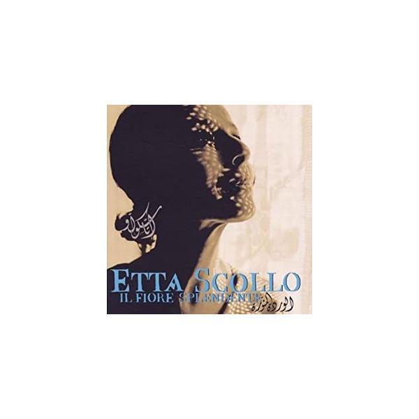 未開封クッション封筒で梱包して発送します