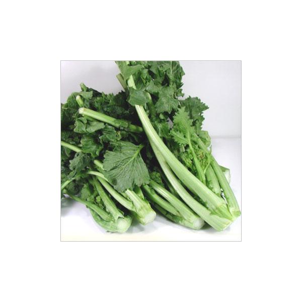 この商品の 発送は「金曜日」になります。特にお急ぎの場合は「備考欄に記載」又は店舗まで直接ご連絡ください。　TEL:0120-015-939イタリア産　フレッシュ野菜　１１月〜４月の入荷