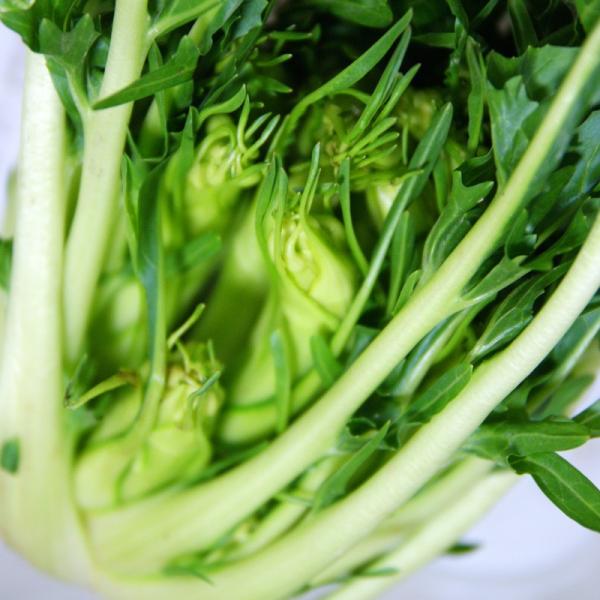 この商品の 発送は「金曜日」になります。特にお急ぎの場合は「備考欄に記載」又は店舗まで直接ご連絡ください。　TEL:0120-015-939イタリアの野菜　１１月〜４月「不定貫」