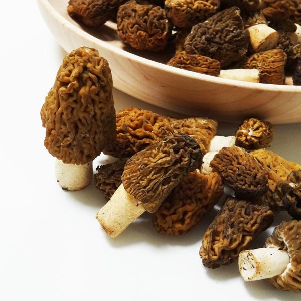 フランス産のフレッシュきのこ　モリオン季節商品なので時期によっては入荷がない場合があります。ご予約が優先となりますので、突然のご注文にはお役に立たない場合がございます。天候や航空便の都合で欠品する場合もあらかじめご承知の上で御注文ください。...