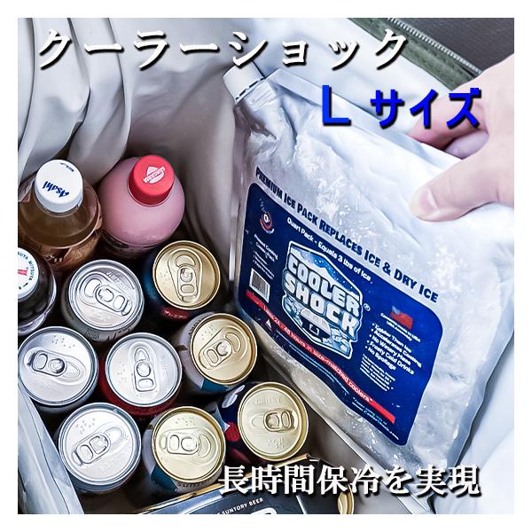保冷剤 最強 強力 長時間 長持ち 保冷バッグ 保冷パック COOLER SHOK クーラーショック L M S クーラーボックス 保冷剤 キャンプ 買い物 アウトドア 冷凍食品 おすすめ数量は１パックになります血液輸送のために開発された長...