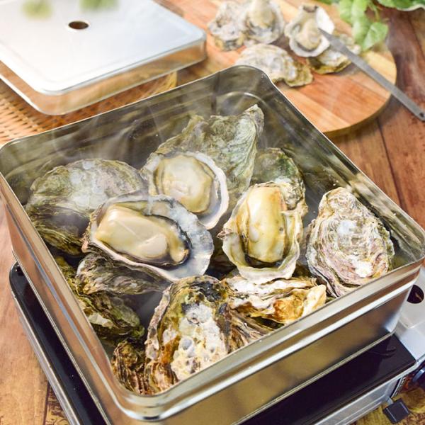 大野瀬戸は、牡蠣の成長に最適な環境。穏やかな海流は、牡蠣がストレスなく育つことを助け、山地からの栄養豊富な水は、牡蠣を大きく、そして濃厚に育てます。また、地下80mより菌のない地下海水を汲み上げ使用し、牡蠣を浄化することにより、島田水産の牡...